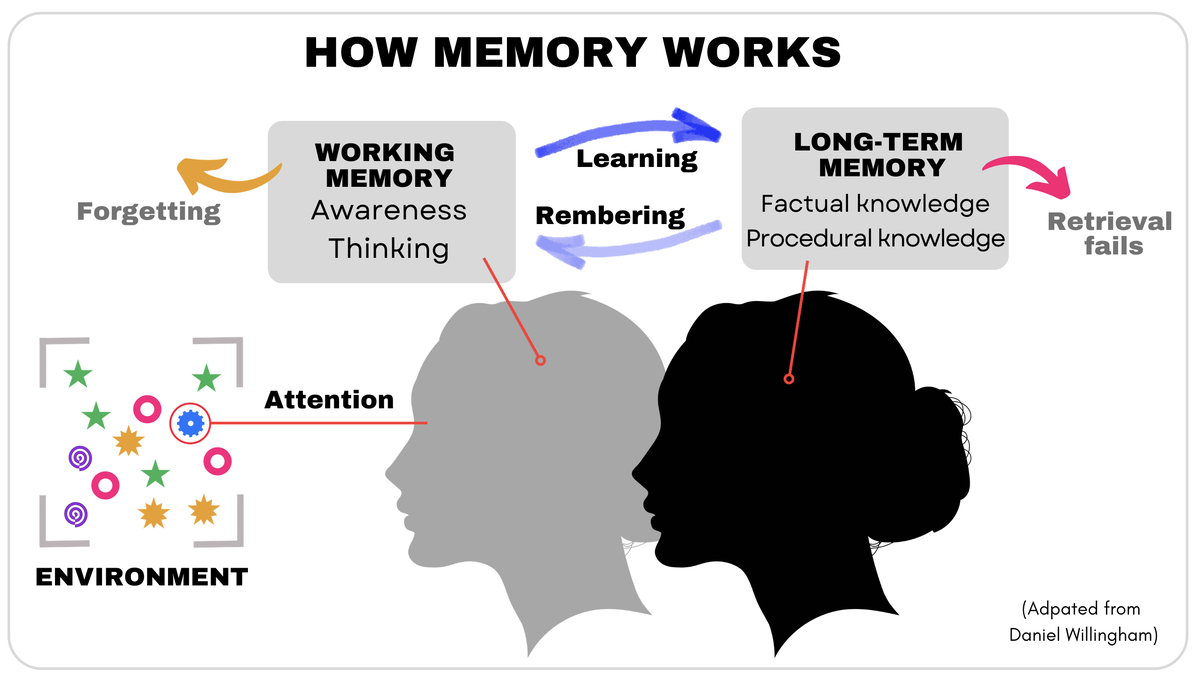My Brain is Full – How Memory Works – coachdev.org